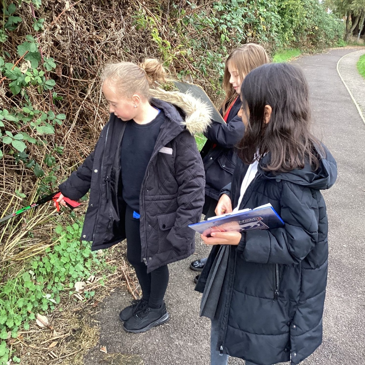 Springfield Primary School - Caring for the Local Environment